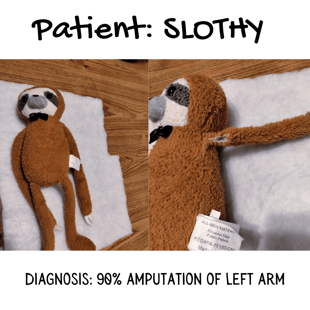 Do It Yourself Stuffed Animal Repair – Low Dough Family
