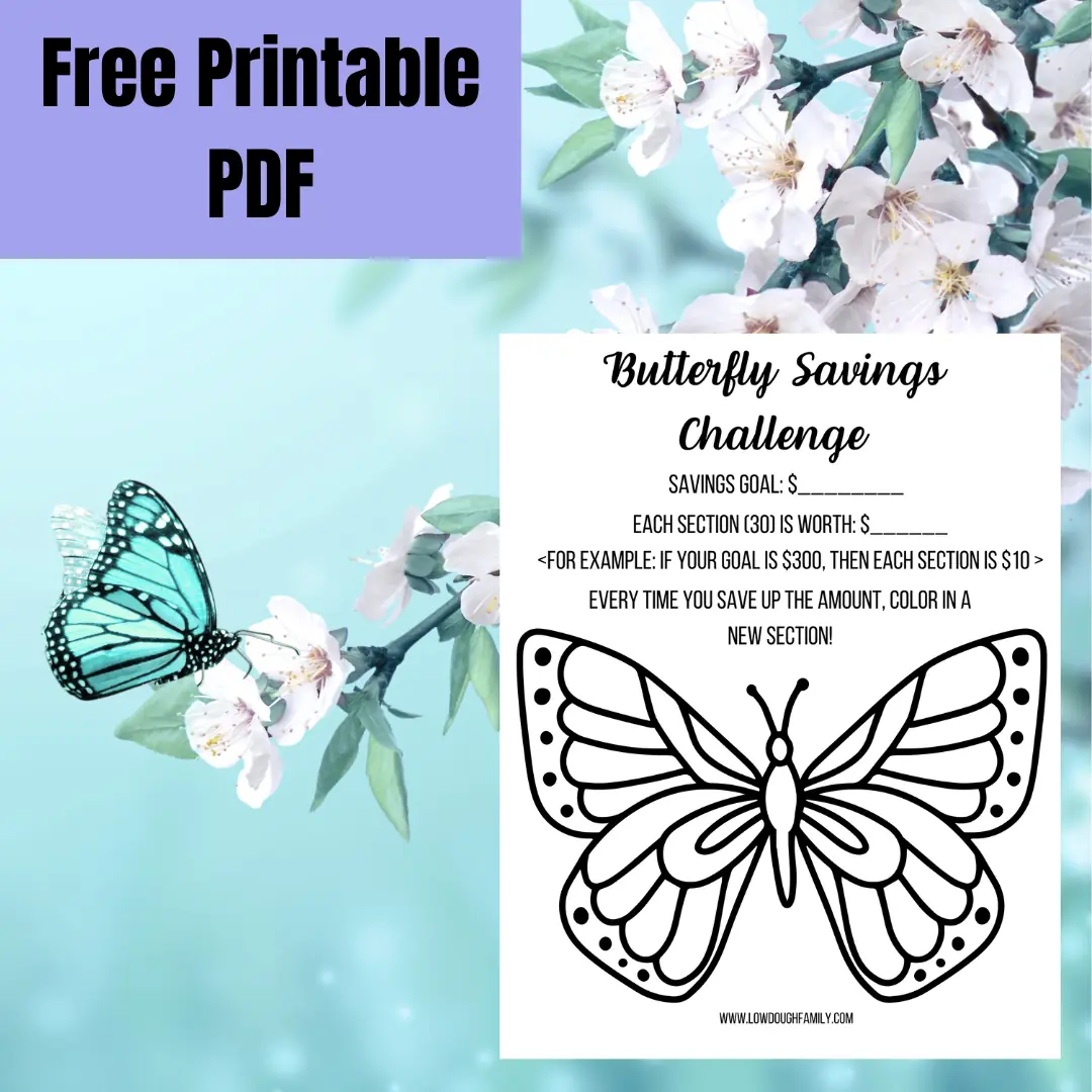 Butterfly Savings Challenge (30 days) Free PDF – Low Dough Family