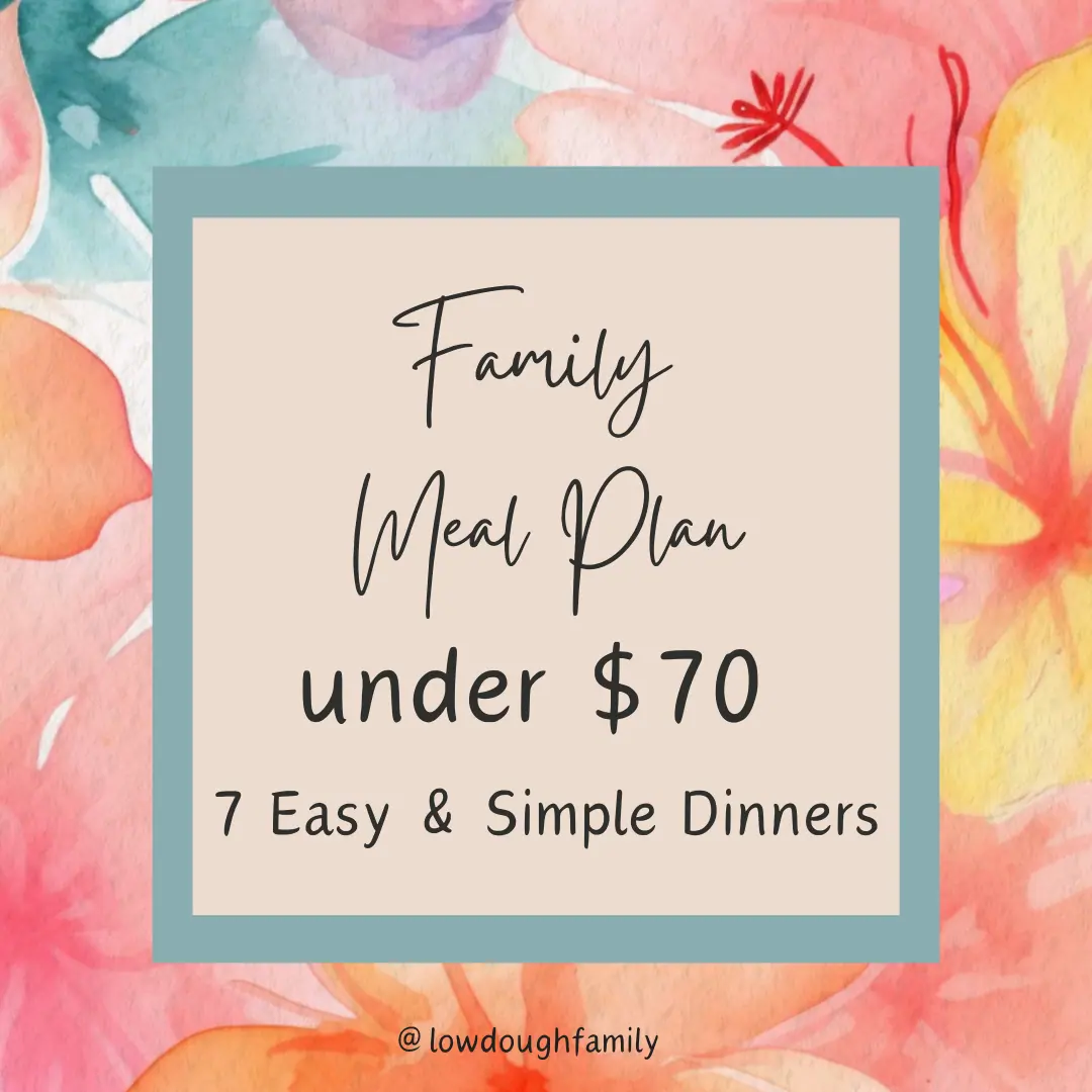 No Oven Meal Plan At Walmart For Under 100 Week 29 Low Dough Family No Oven Meal Plan At Walmart For Under 100 Week 29 Low Dough Family